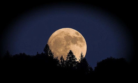 Projekt Microbella - mossji.ch